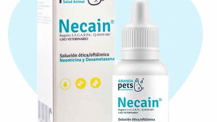 Necain Solución ótica y oftálmica con efecto antib en Diez de Octubre ...