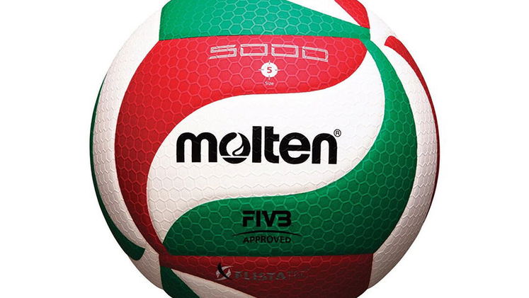 PELOTA DE VOLEIBOL MOLTEN PRO en Cerro, La Habana, Cuba - Revolico