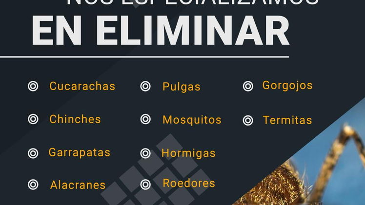 Fumigador contra Chinches, mosquitos, pulgas, roed en La Habana, Cuba - Revolico