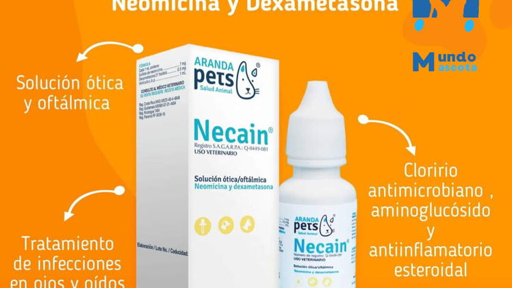 NECAIN: Solución ótica y oftálmica en Guanabacoa, La Habana, Cuba ...