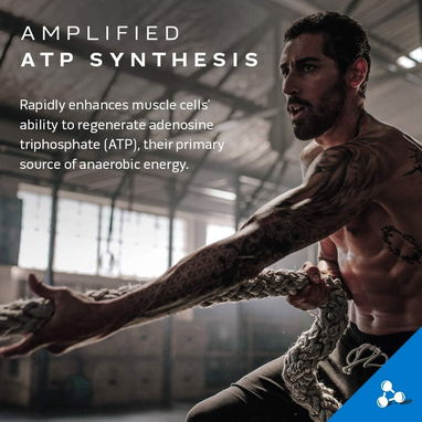 CREATINA CELL TECH CREATOR MUSCLETECH CON SABOR Y en Cerro, La Habana ...