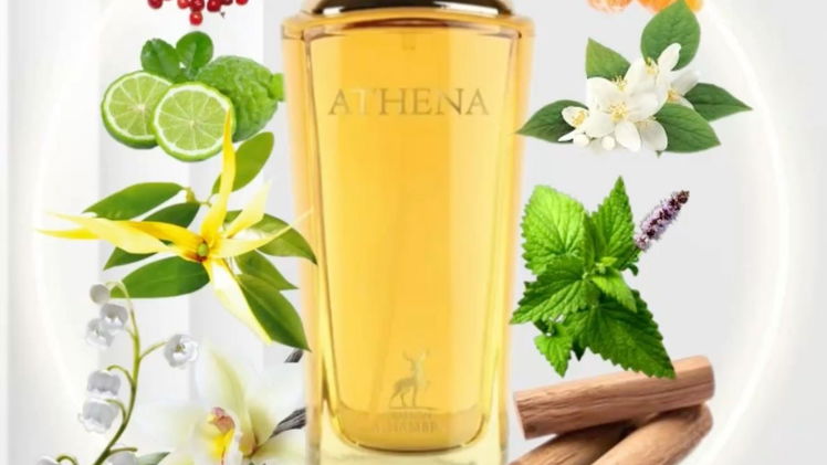 Perfumes 💯% originales !!! Gama alta en Plaza, La Habana, Cuba - Revolico