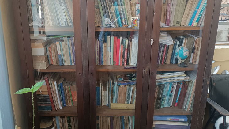 Librero de caoba con puertas de cristal en Playa, La Habana, Cuba ...
